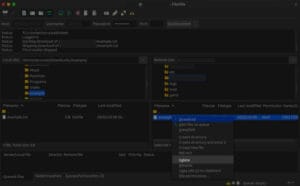 Cara Lengkap Menggunakan FileZilla - Mudah Dipraktekkan